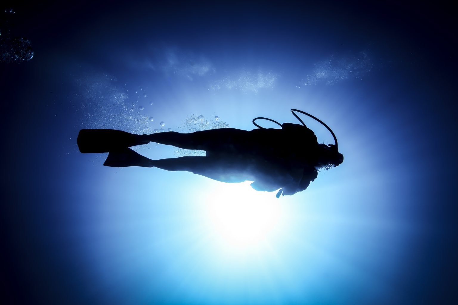 National Dive Community Briefing - South Australia Algal Bloom - Ocean ...